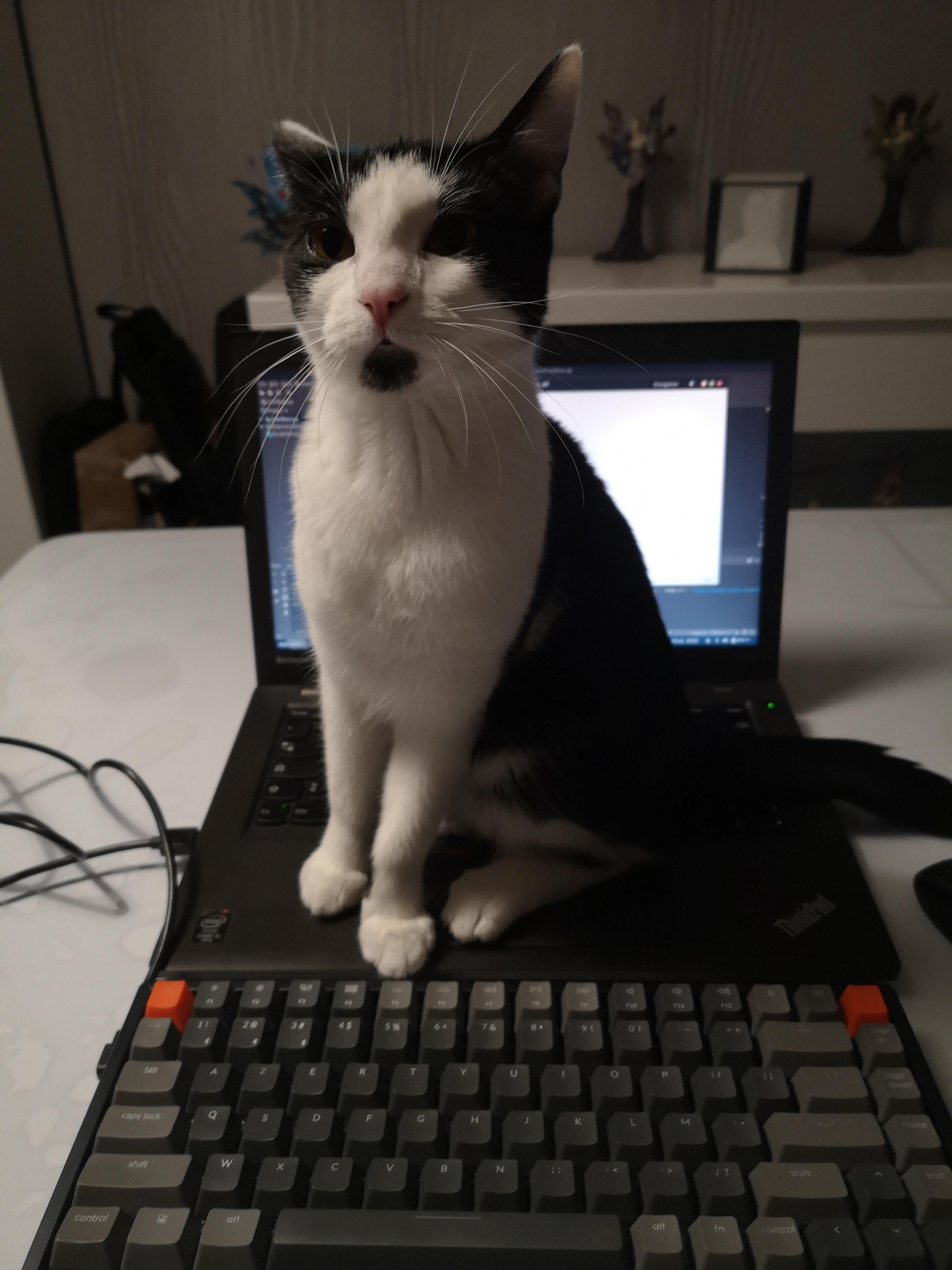 Plume says good night to dad | Scrolller