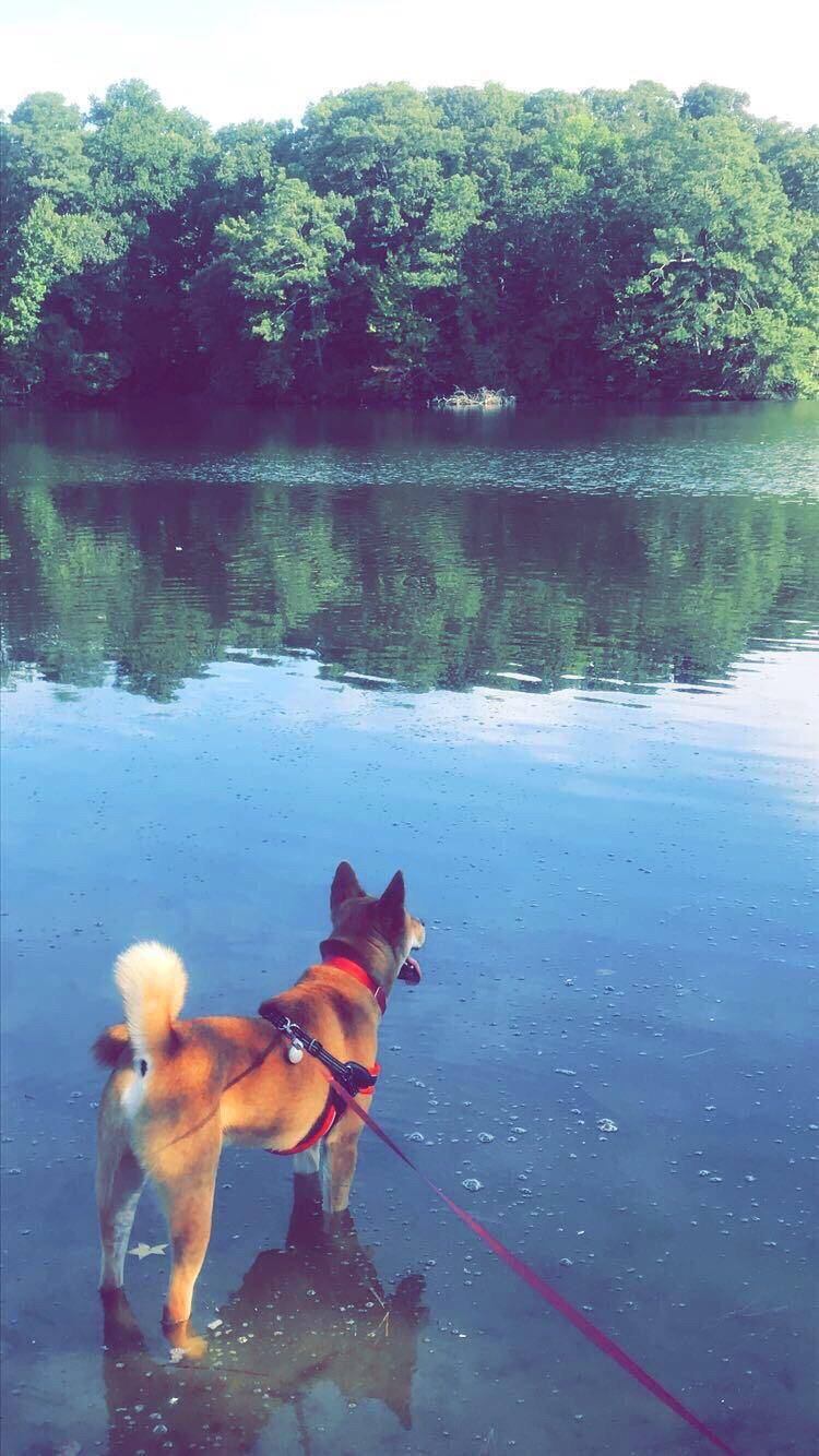 Po and some self reflecting | Scrolller