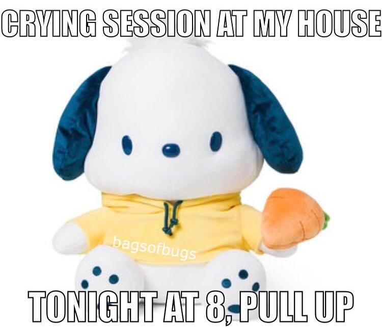 Pochacco hosts a crying session party | Scrolller