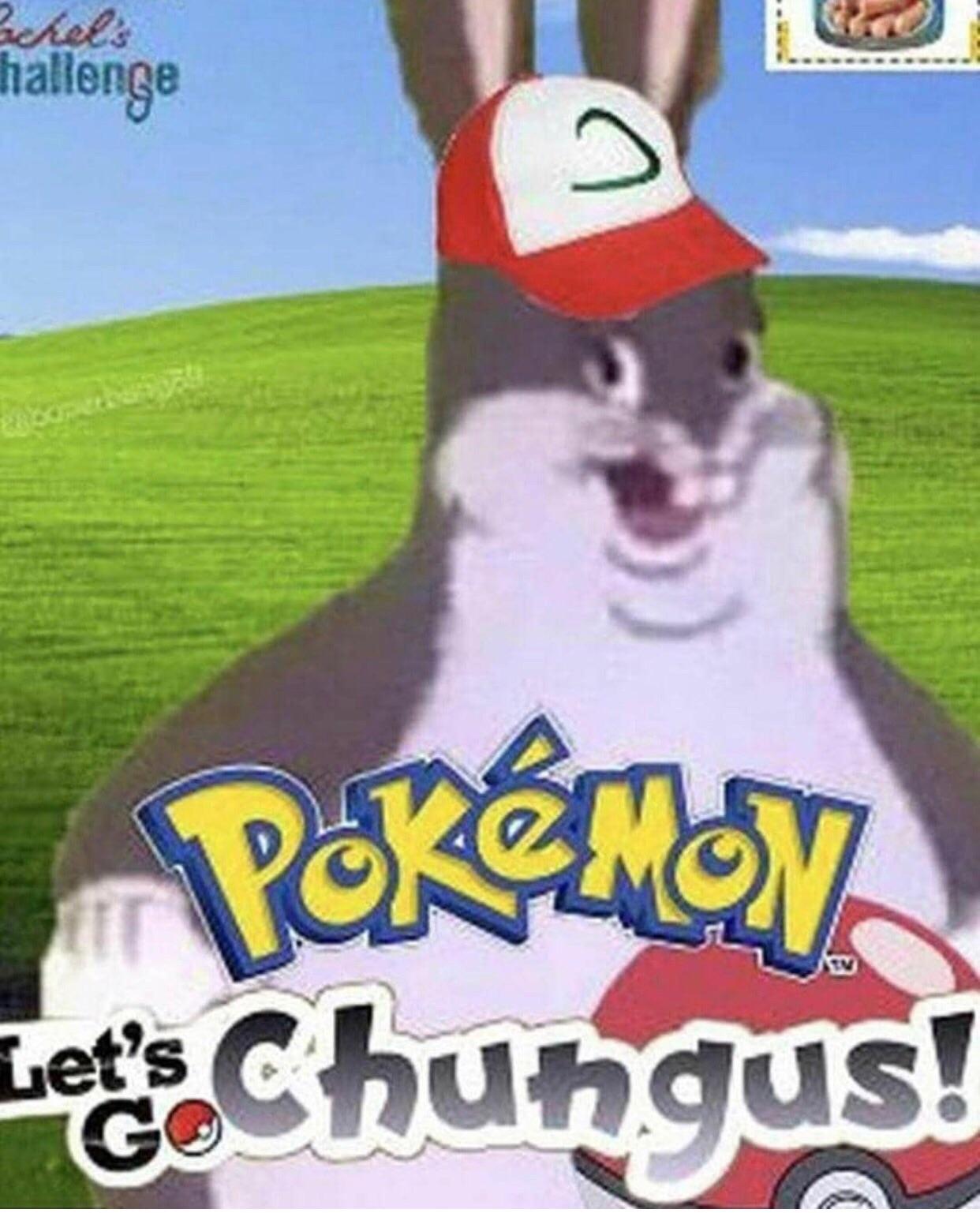 Pokémon Chungus | Scrolller