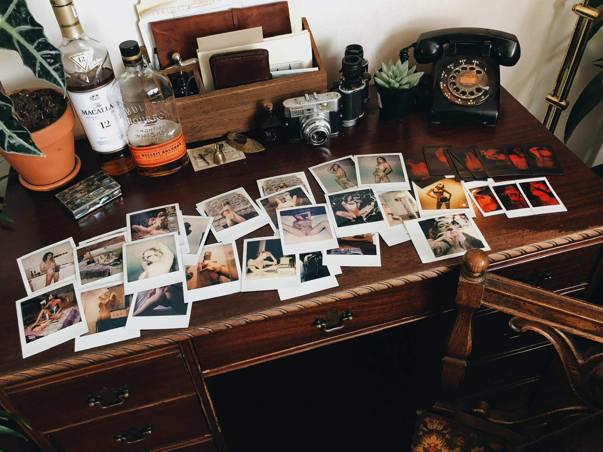 Polaroid | Scrolller