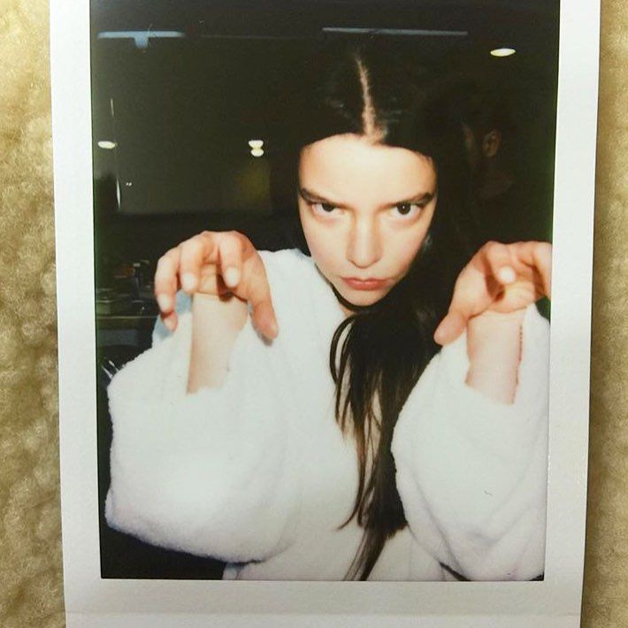 polaroid | Scrolller