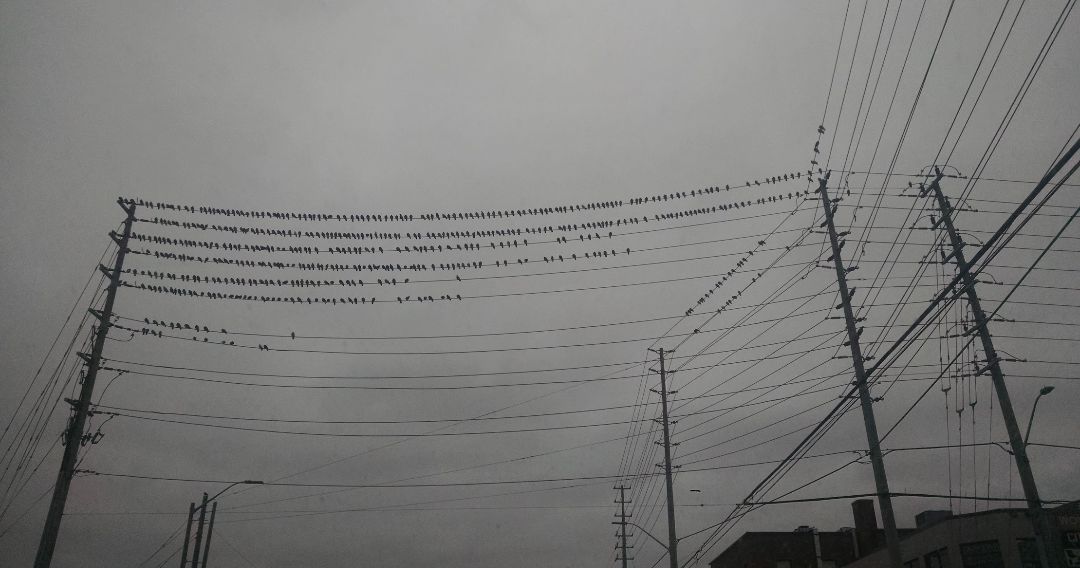 Poles (not) apart. | Scrolller