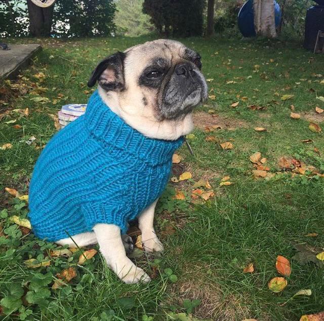 Polo ️ | Scrolller