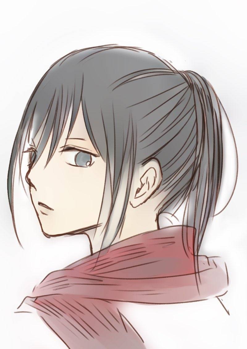 Ponytail Mikasa - by tomogna | Scrolller