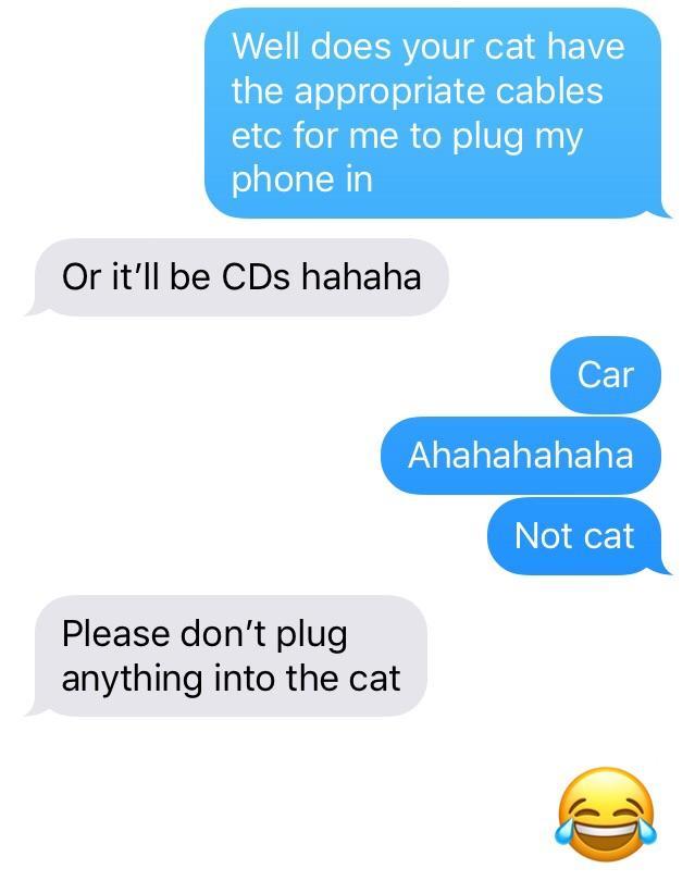 Poor cat | Scrolller