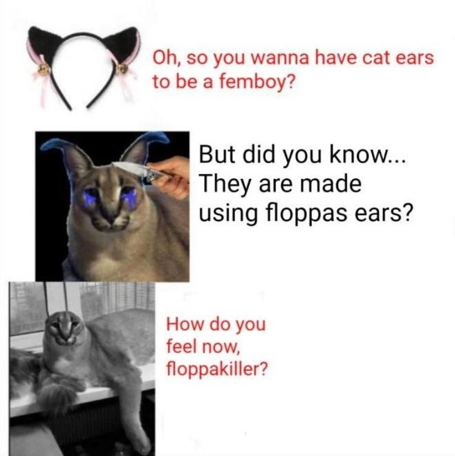 Poor floppa :c | Scrolller