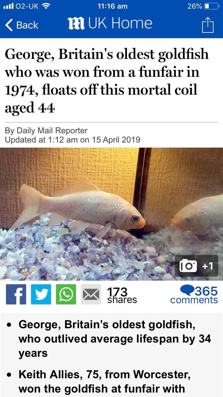 Poor George 😢 Rest in peace little fish ️ | Scrolller