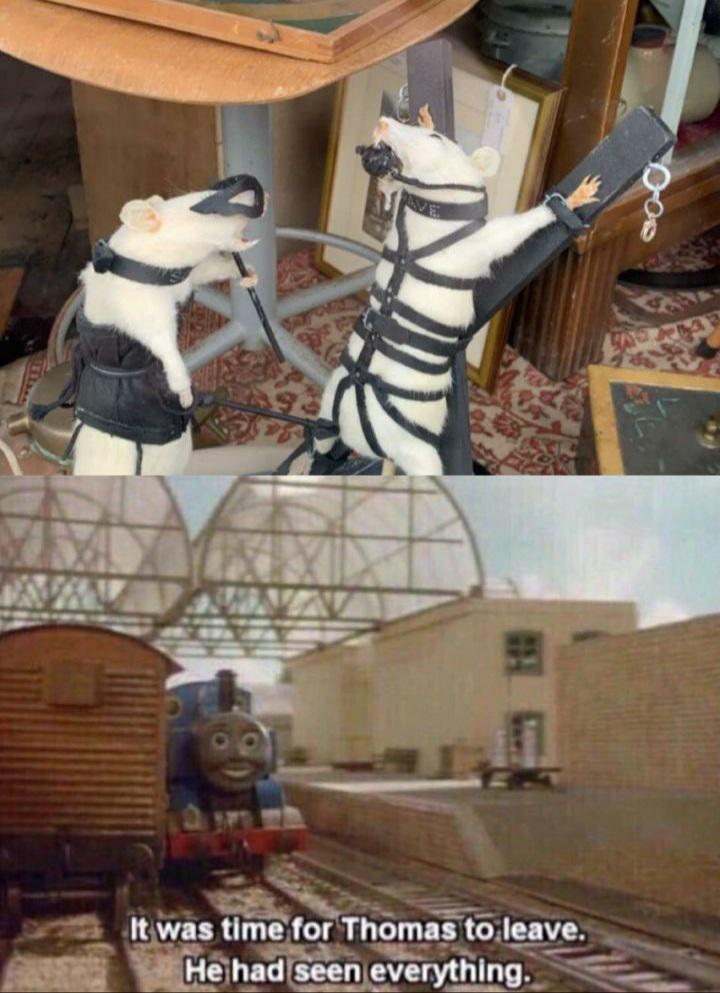 Poor Tomas | Scrolller