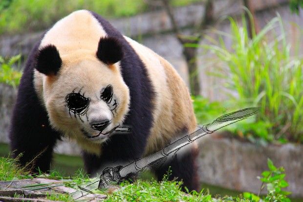 "Poorly" editing beastar characters on their irl counterparts day 6: Gouhin the giant panda ...