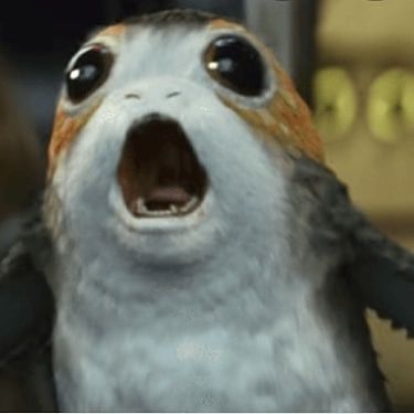Porgs | Scrolller