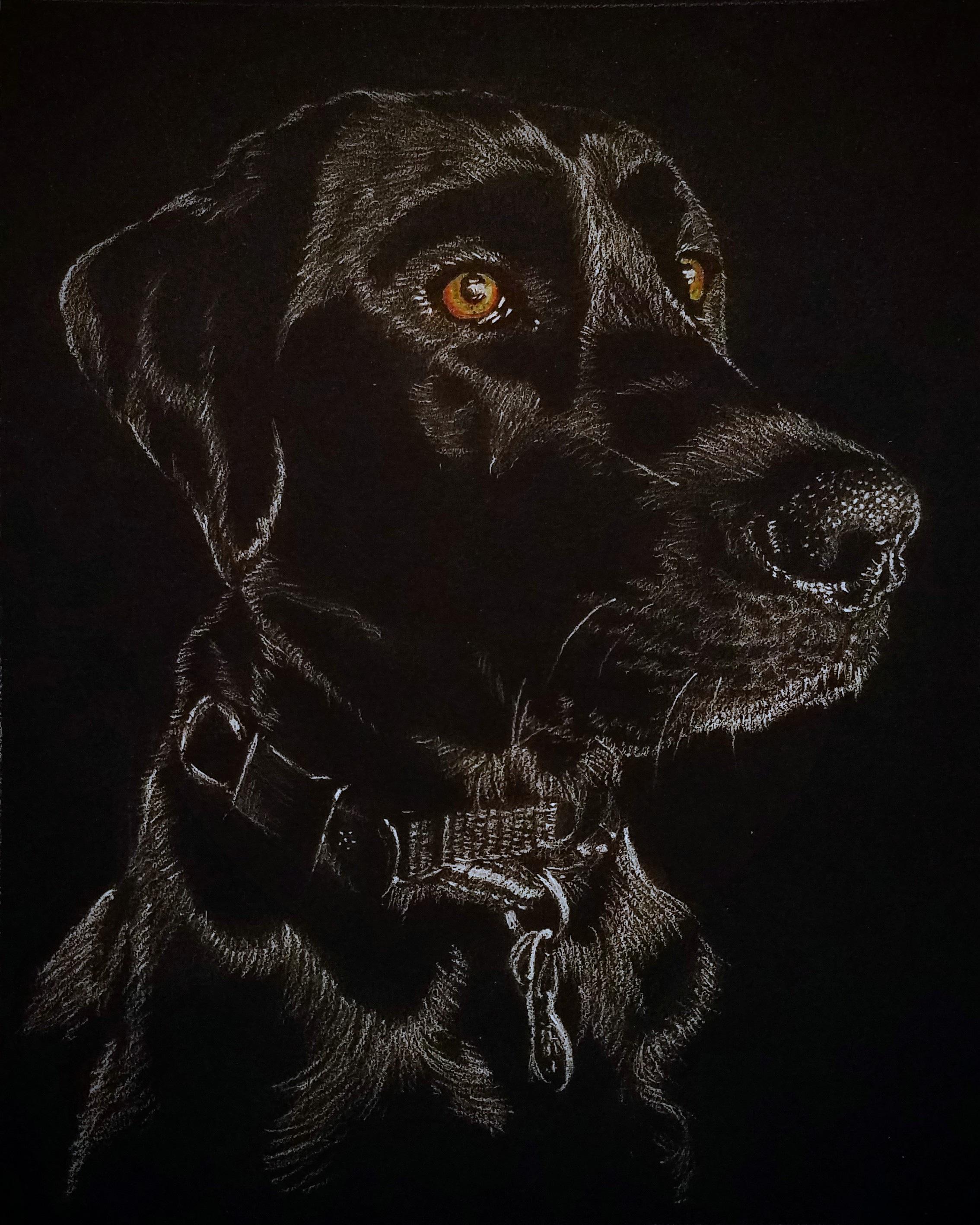 Portrait, Me, Pencil on Black Paper, 2020 | Scrolller