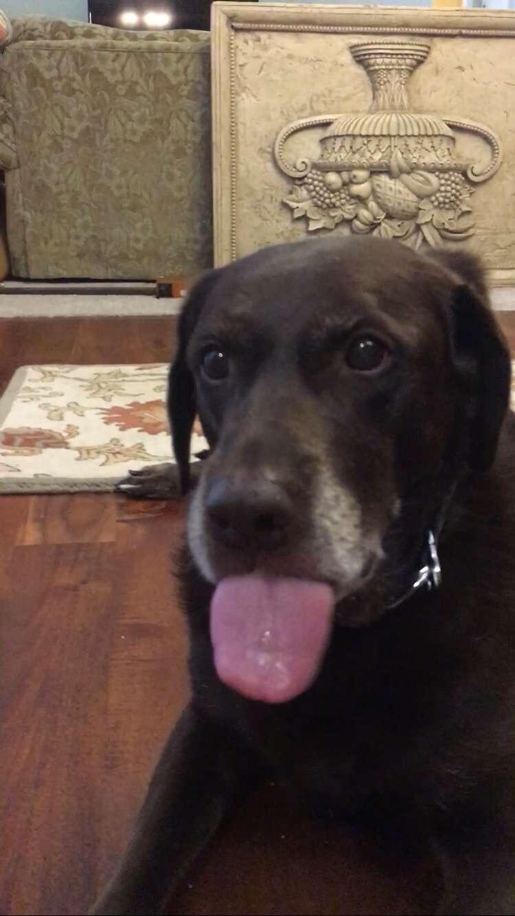 Possibly the biggest blop of all? | Scrolller