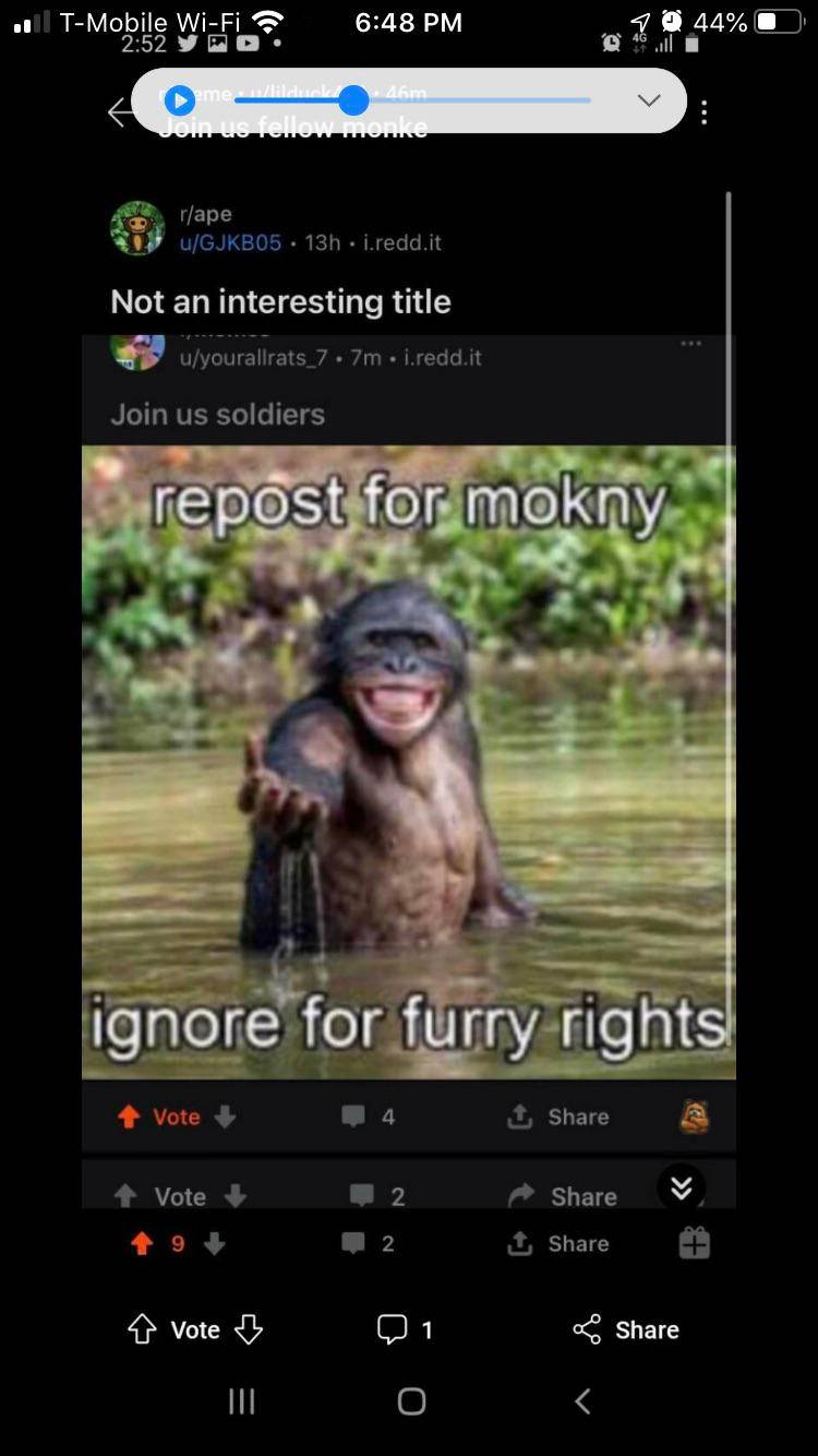 Post monke | Scrolller