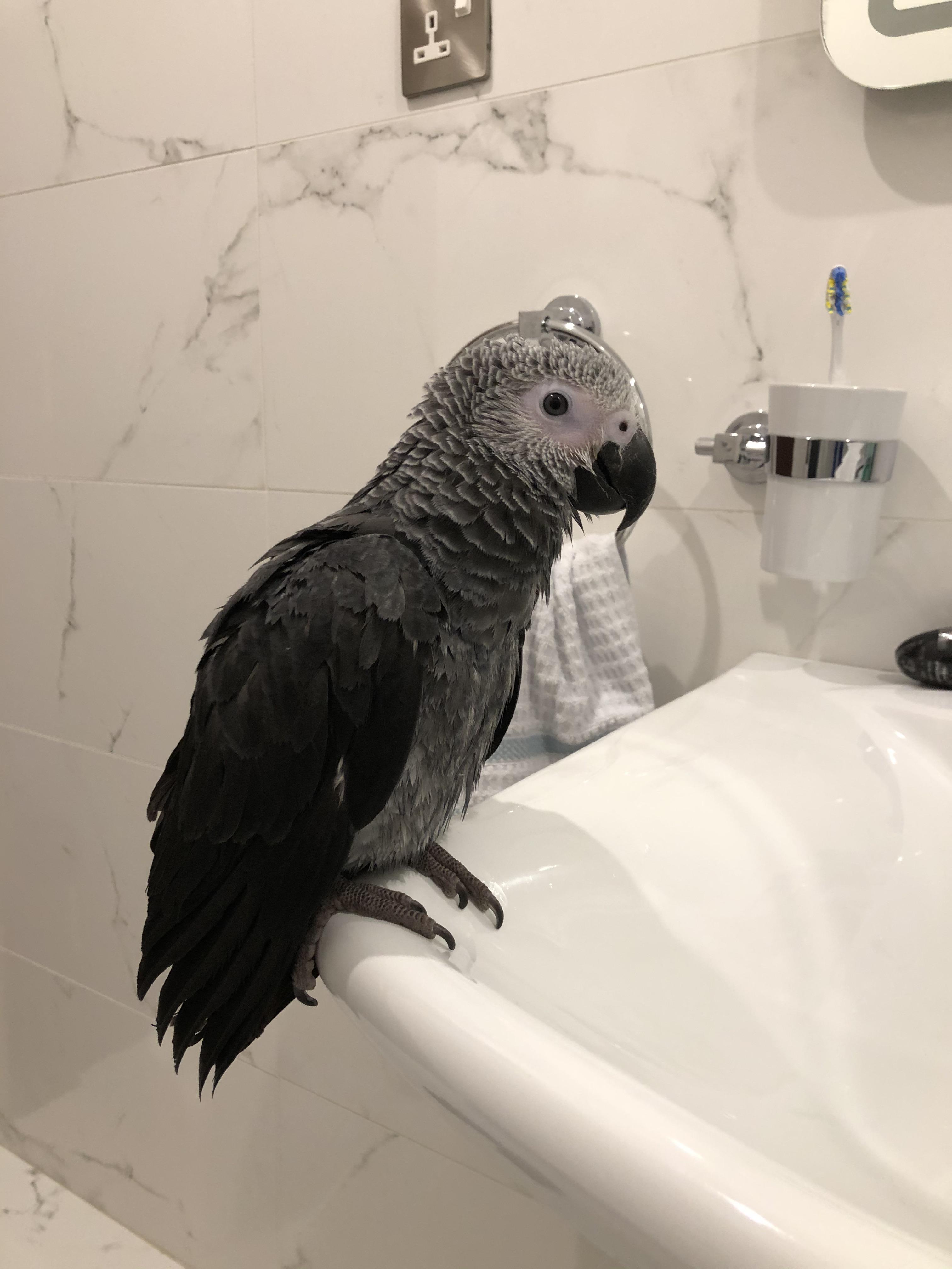 Post Shower 🚿 | Scrolller