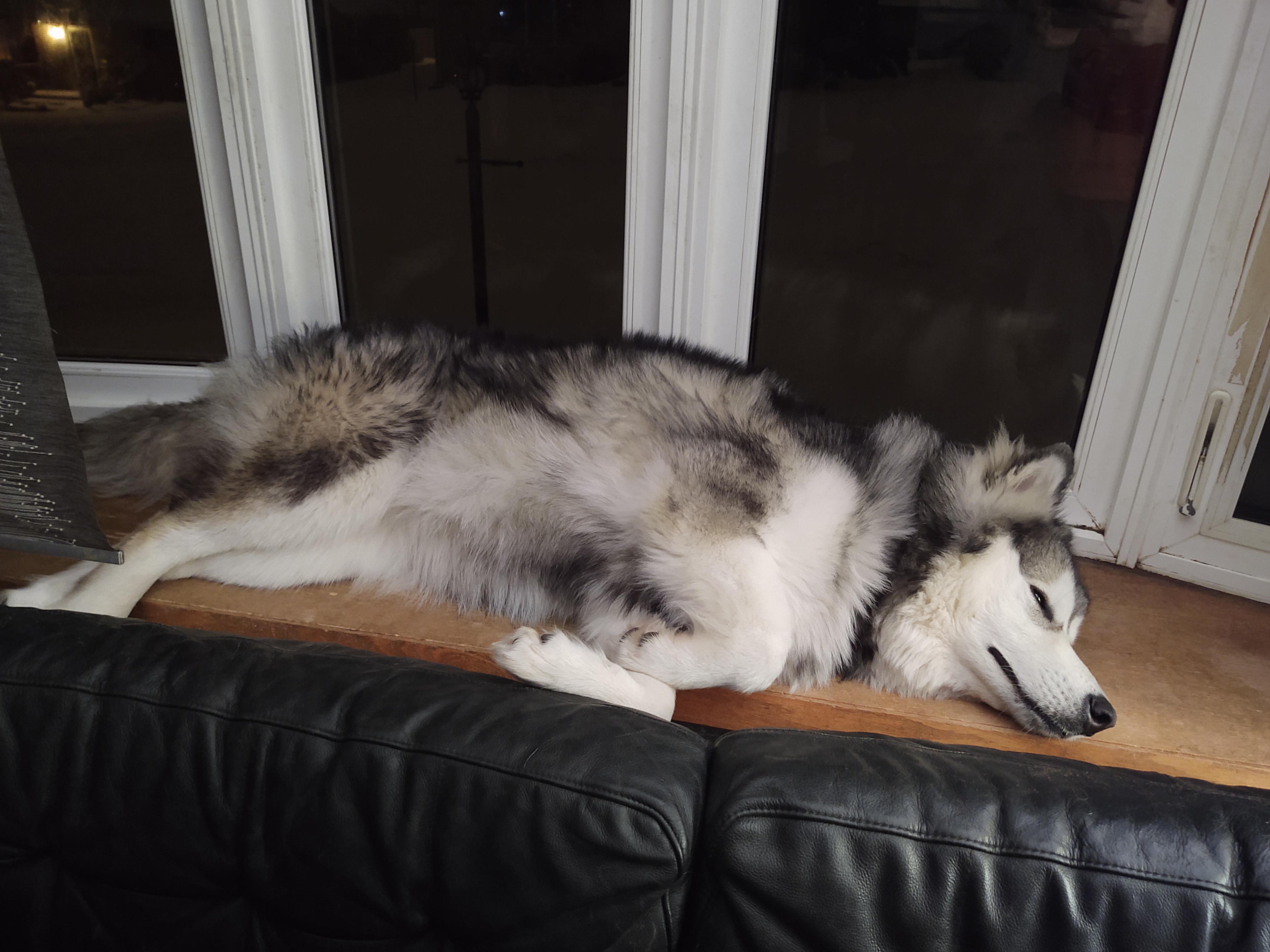 Post temper tantrum nap | Scrolller