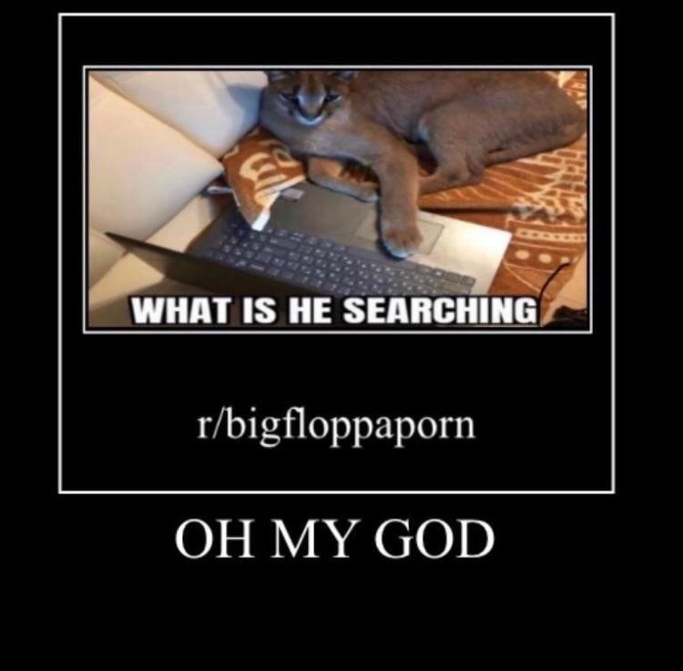 Post Title Here | Scrolller