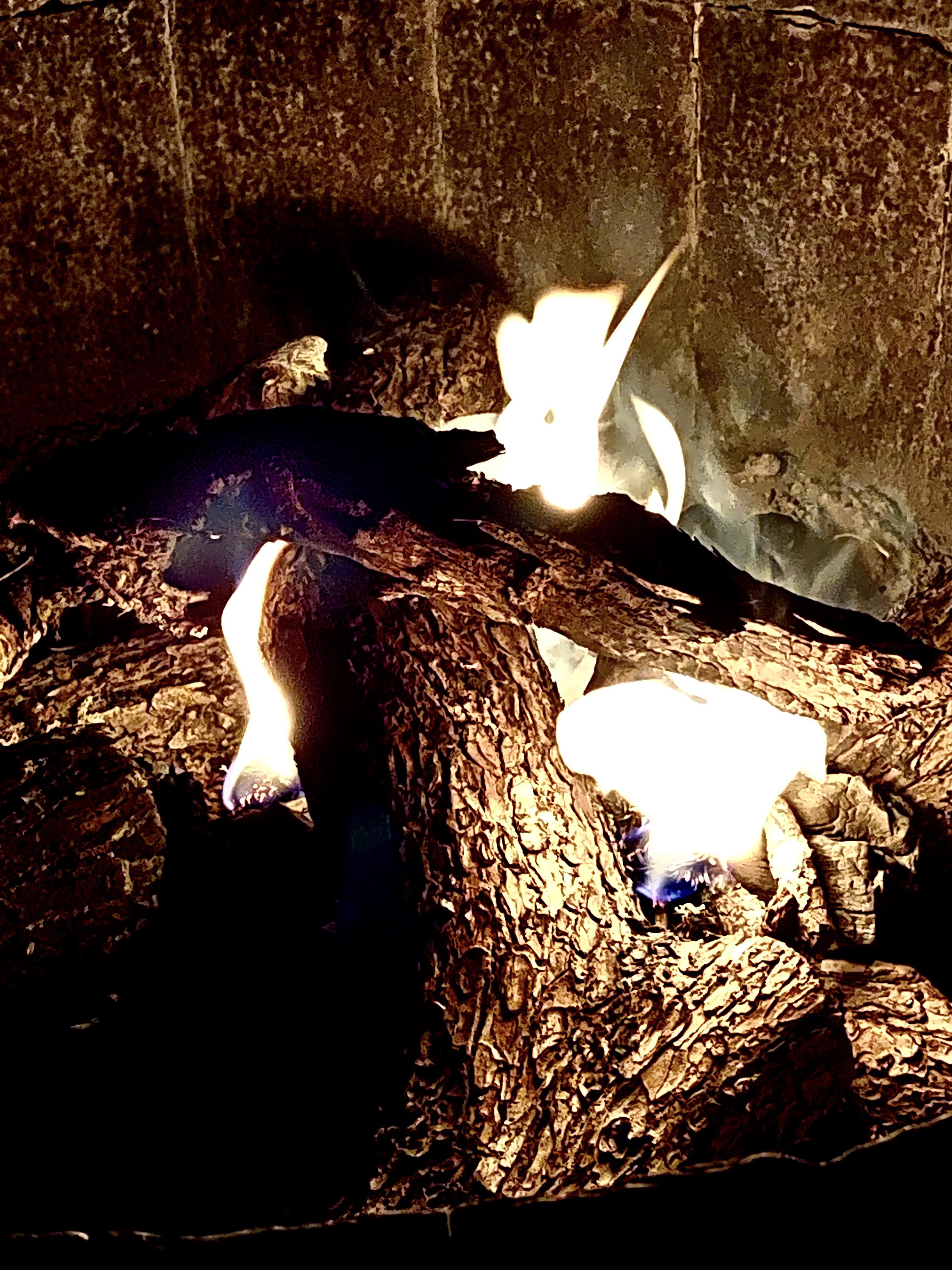 Post title (Required) | Scrolller