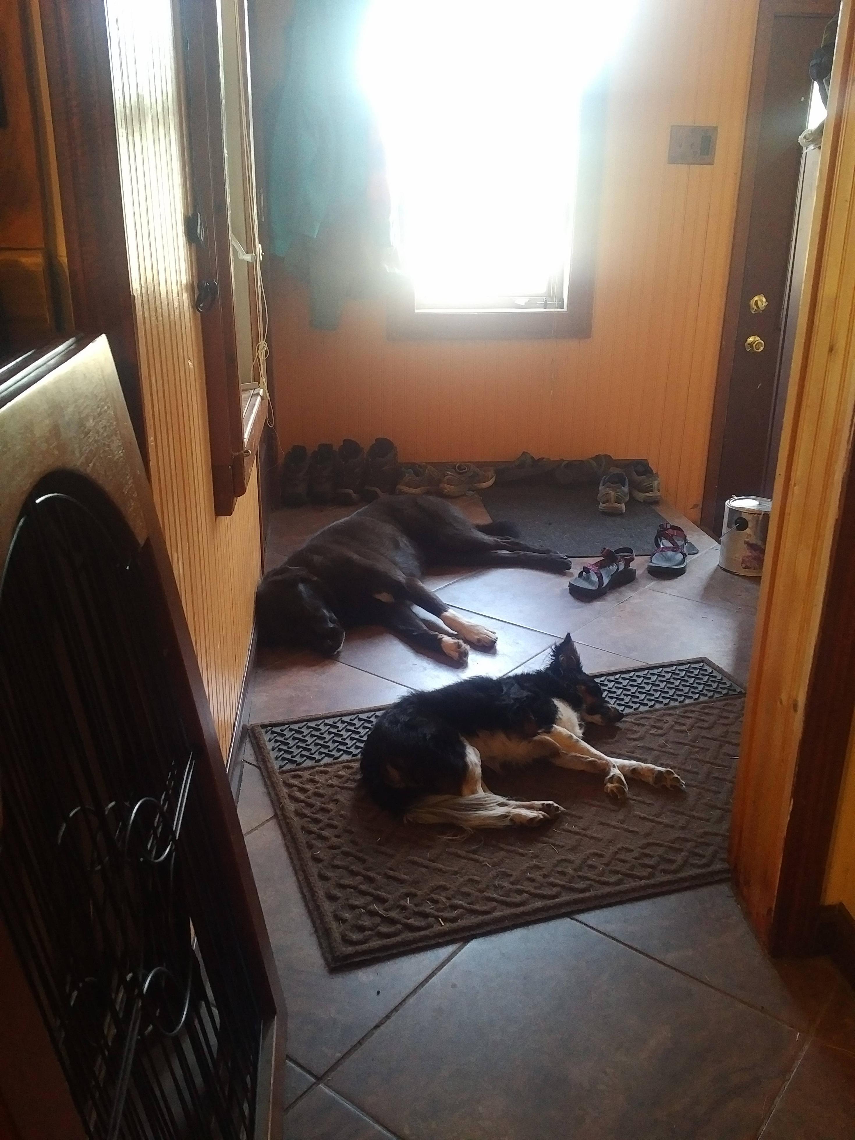 Post-trail run | Scrolller