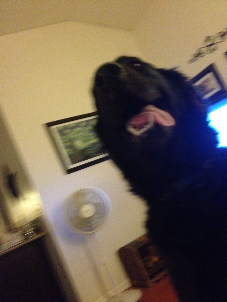 Potato Derp. | Scrolller