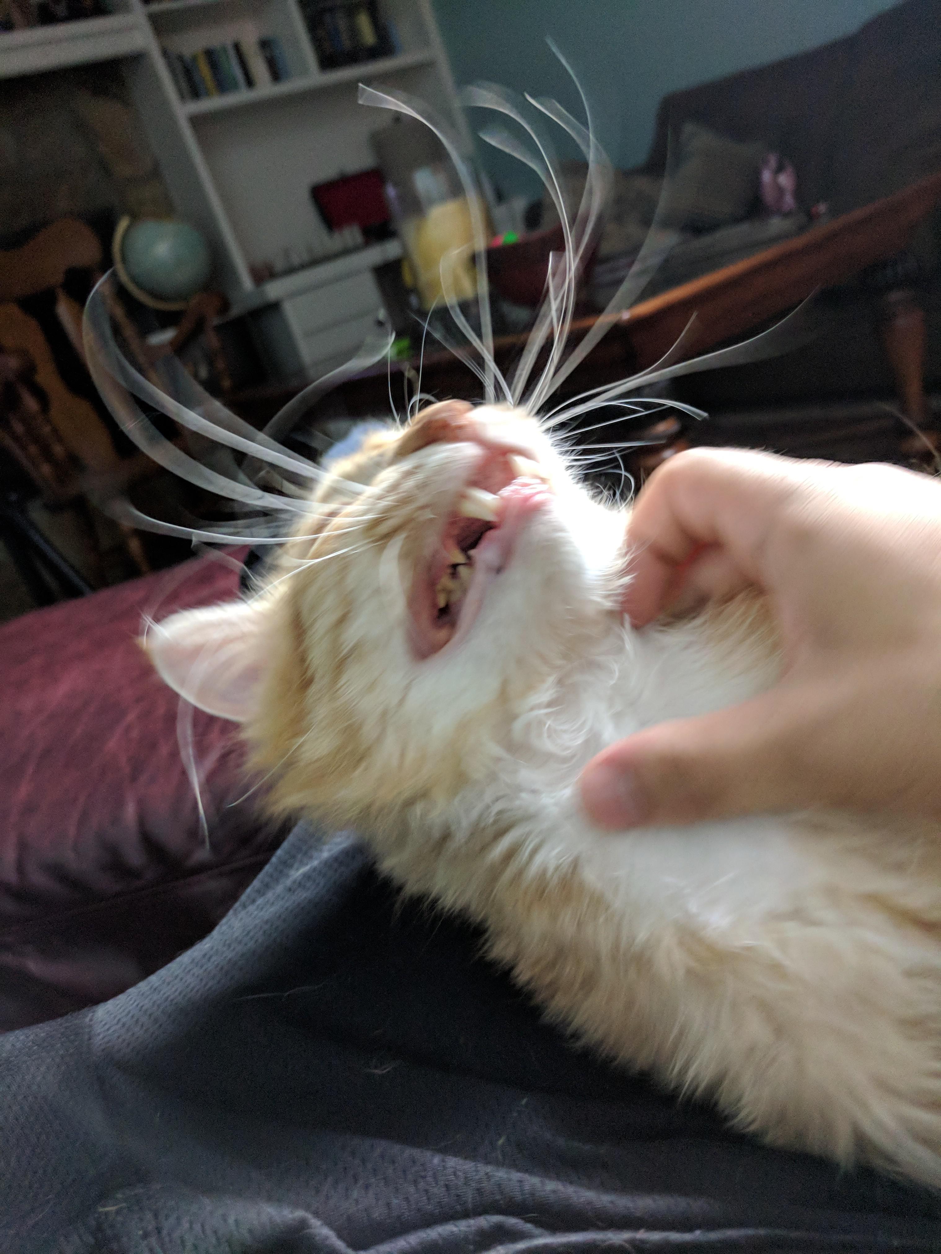 Powerful Scrunge by Bilbo | Scrolller