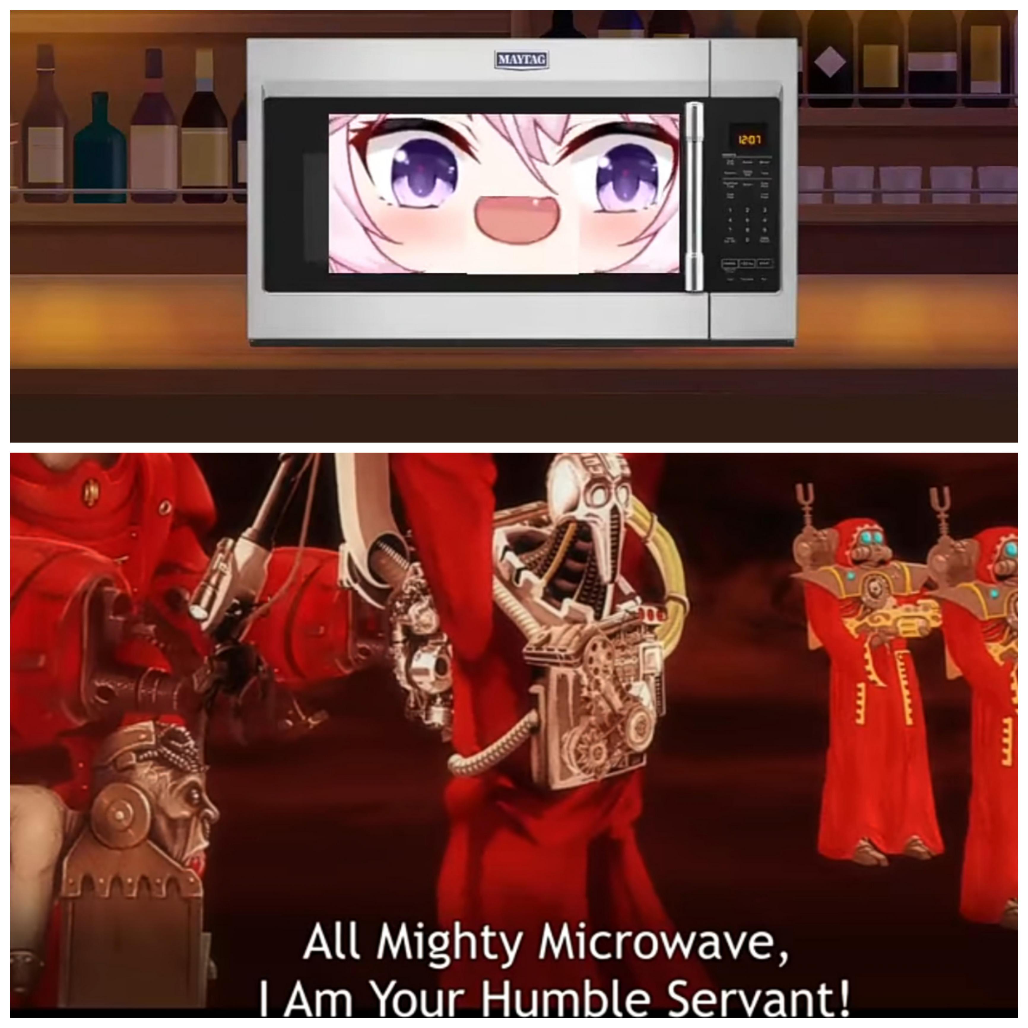 Praise be the holy Nyancrowave | Scrolller