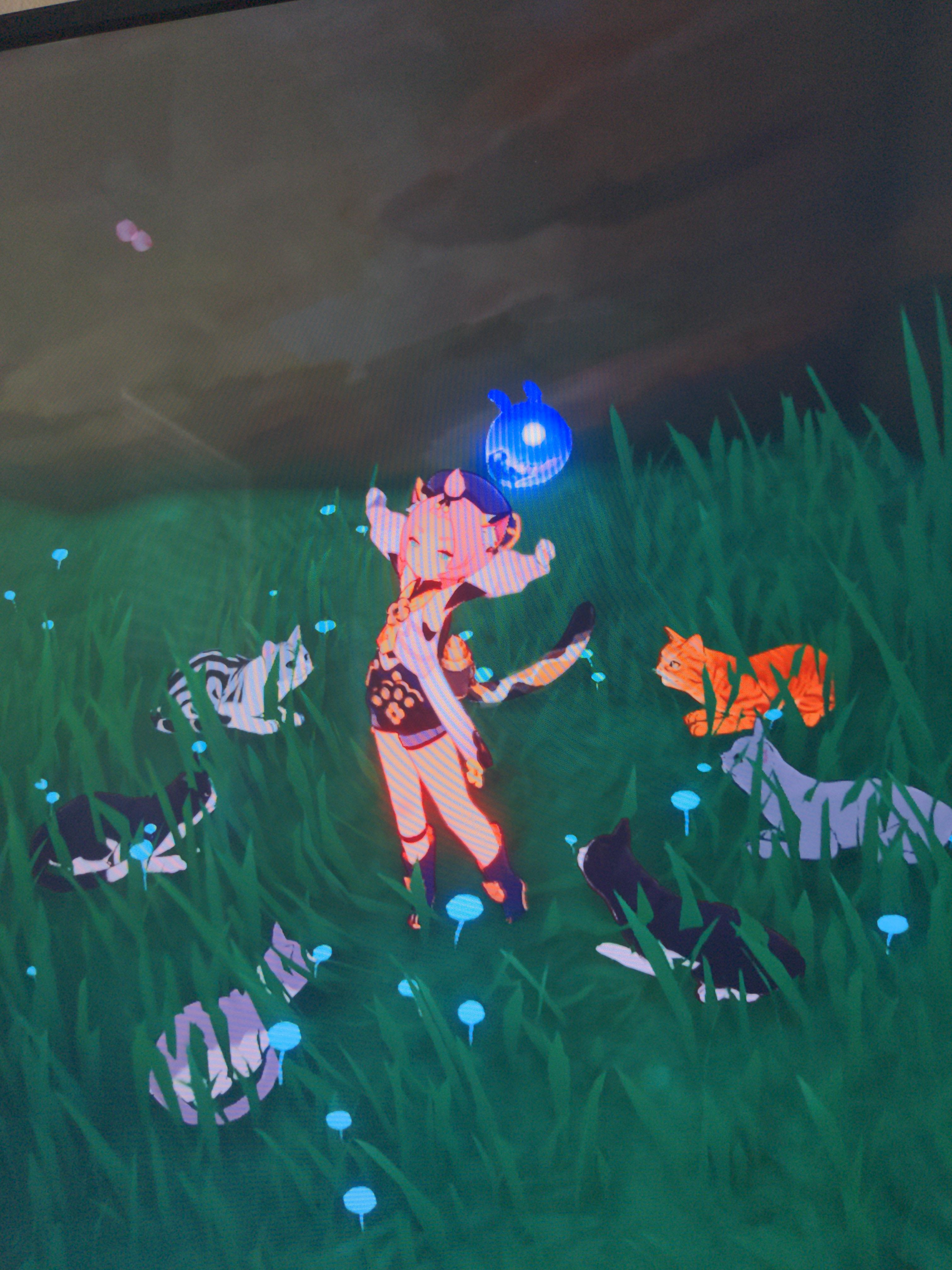 Praise me my children | Scrolller