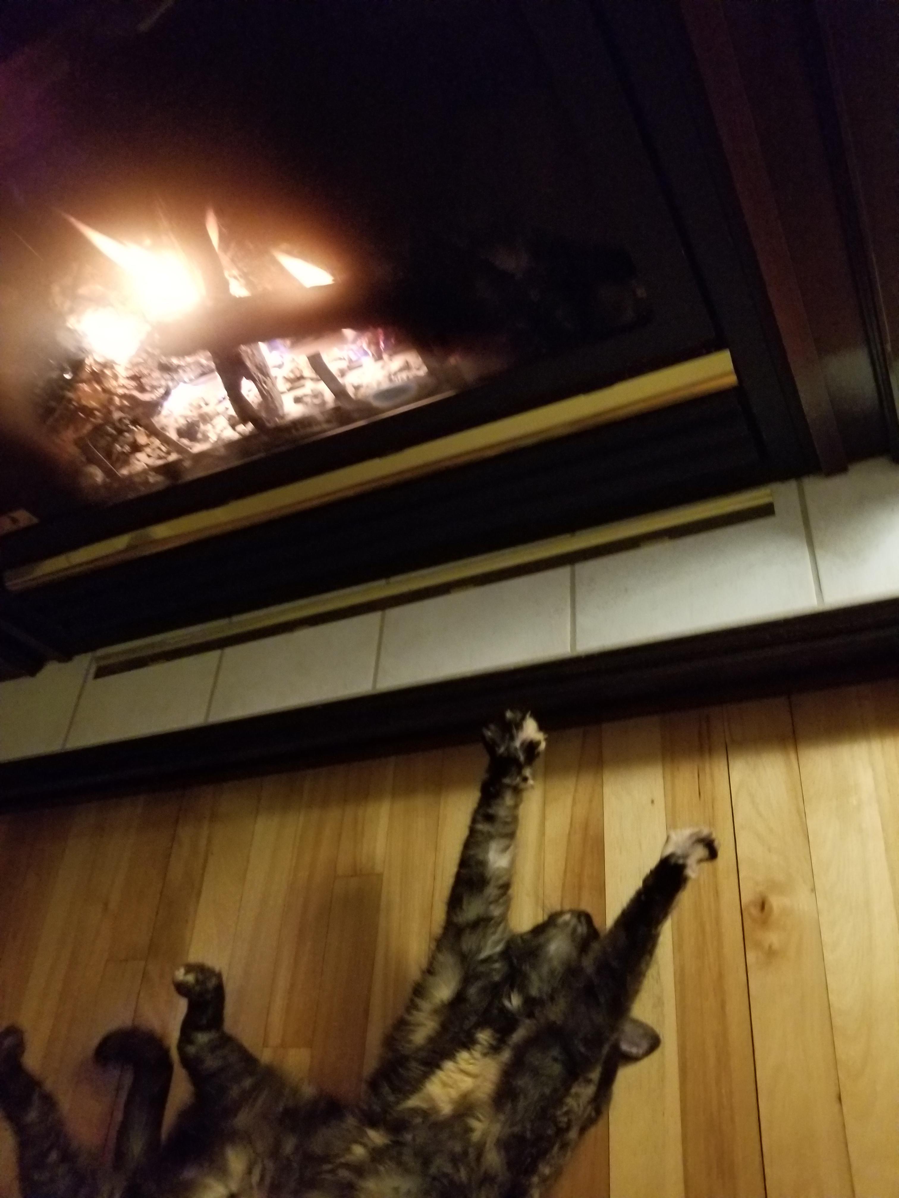 Praising the heat! | Scrolller