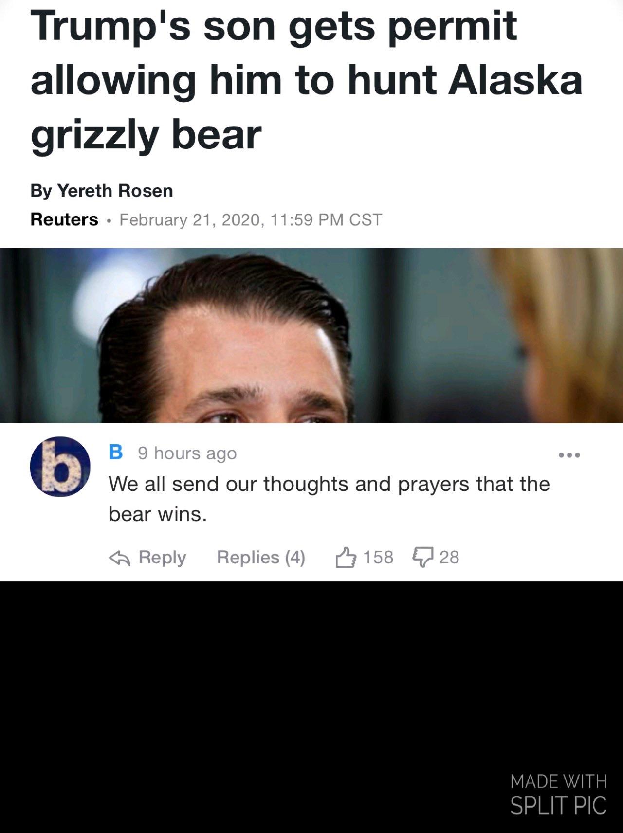 Pray for the grizzly bears | Scrolller
