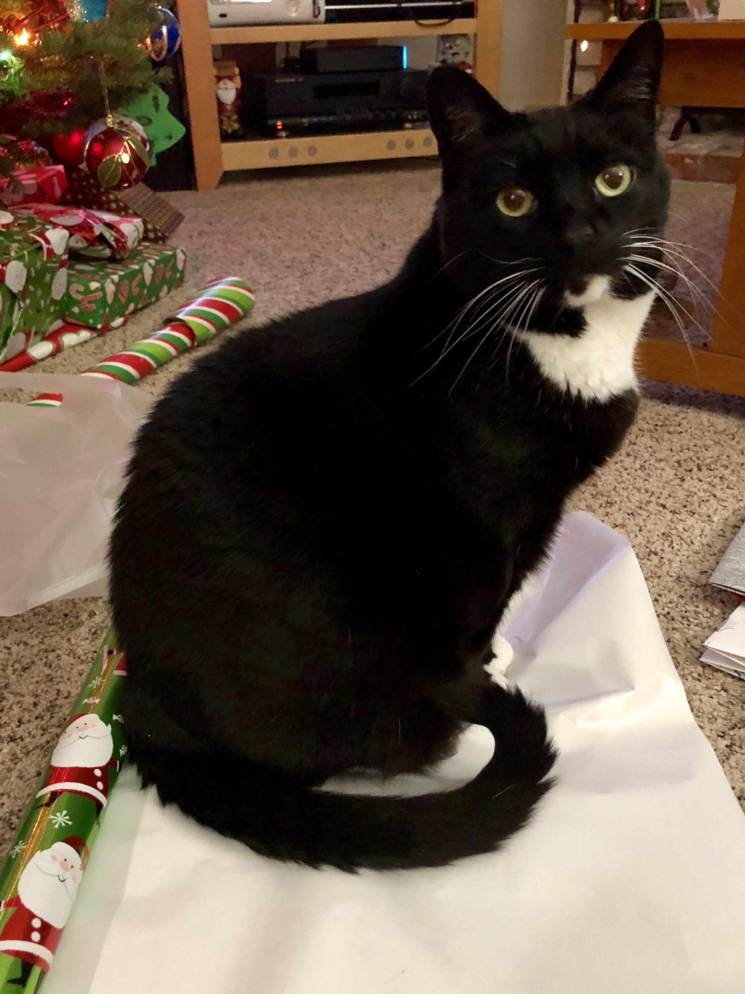 Present wrapping assistant. | Scrolller