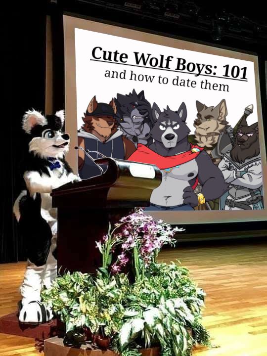 Presentation_irl | Scrolller