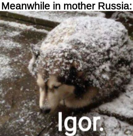 Presenting Igor | Scrolller