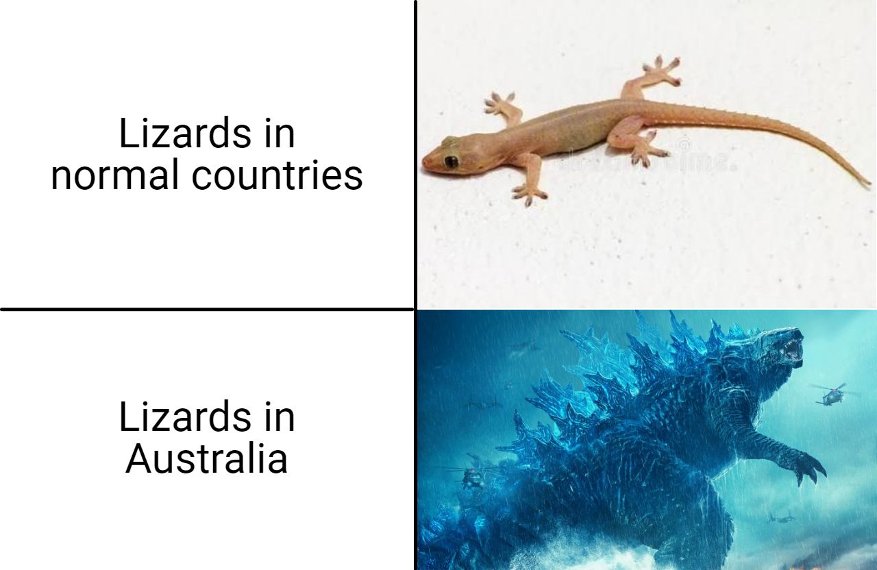 pretty accurate | Scrolller