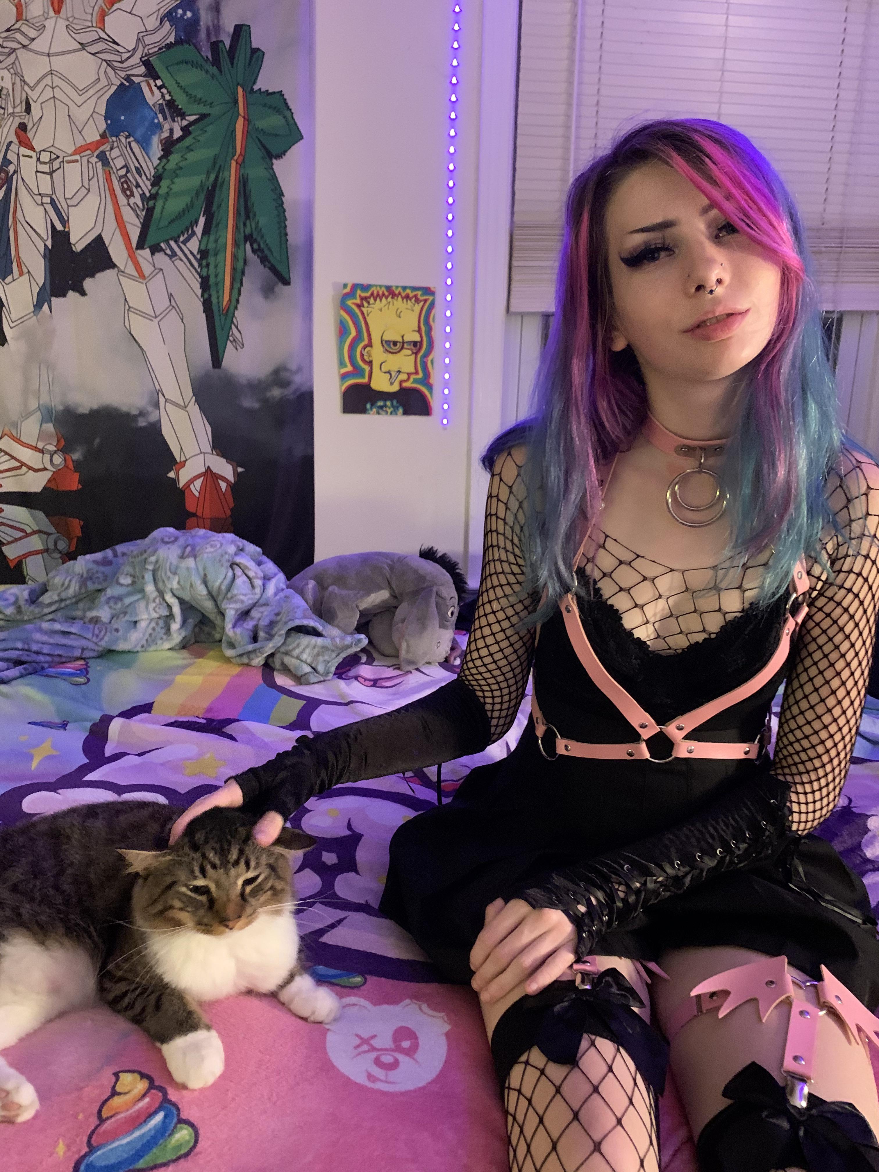 pretty alt girls w pretty cats 💞 | Scrolller