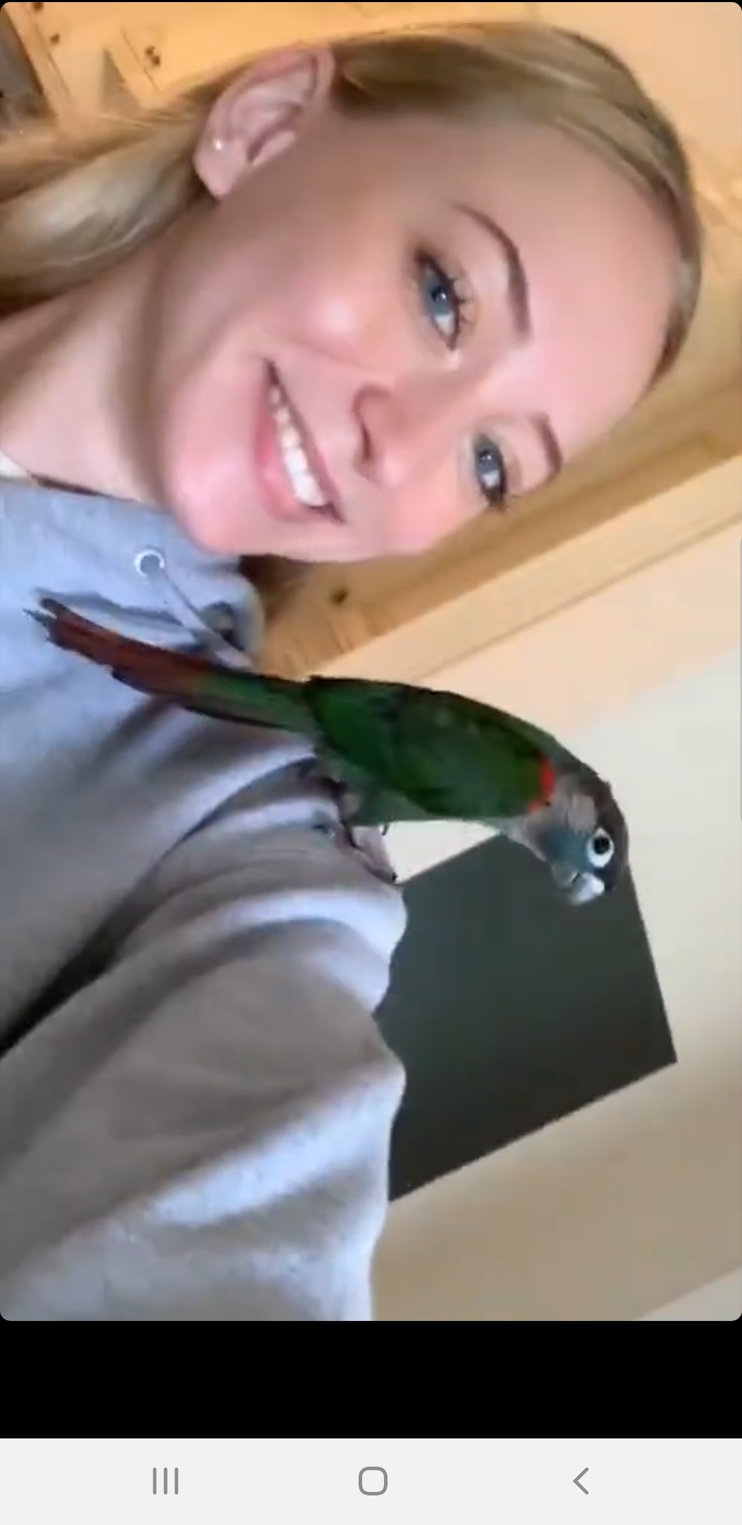 Pretty Bird | Scrolller