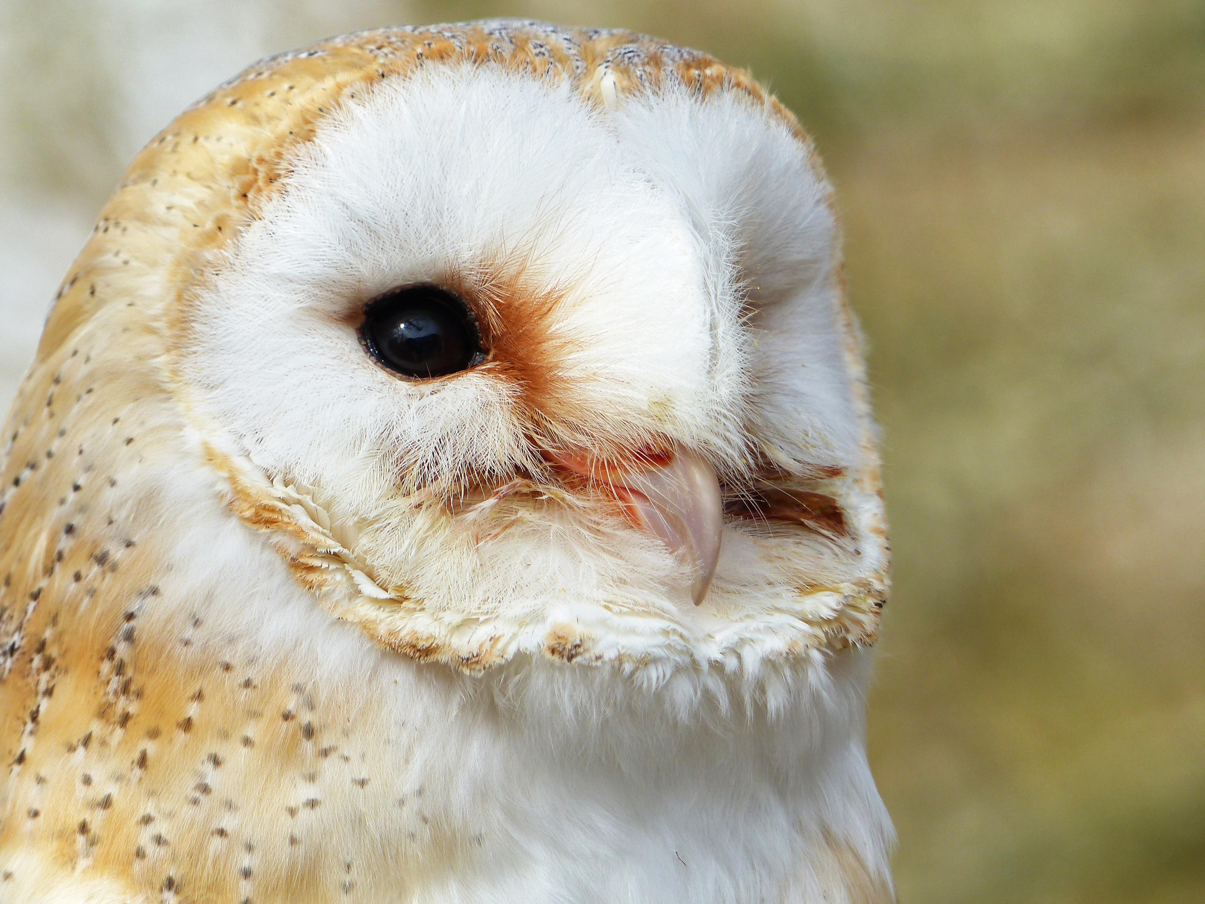 Pretty gal | Scrolller