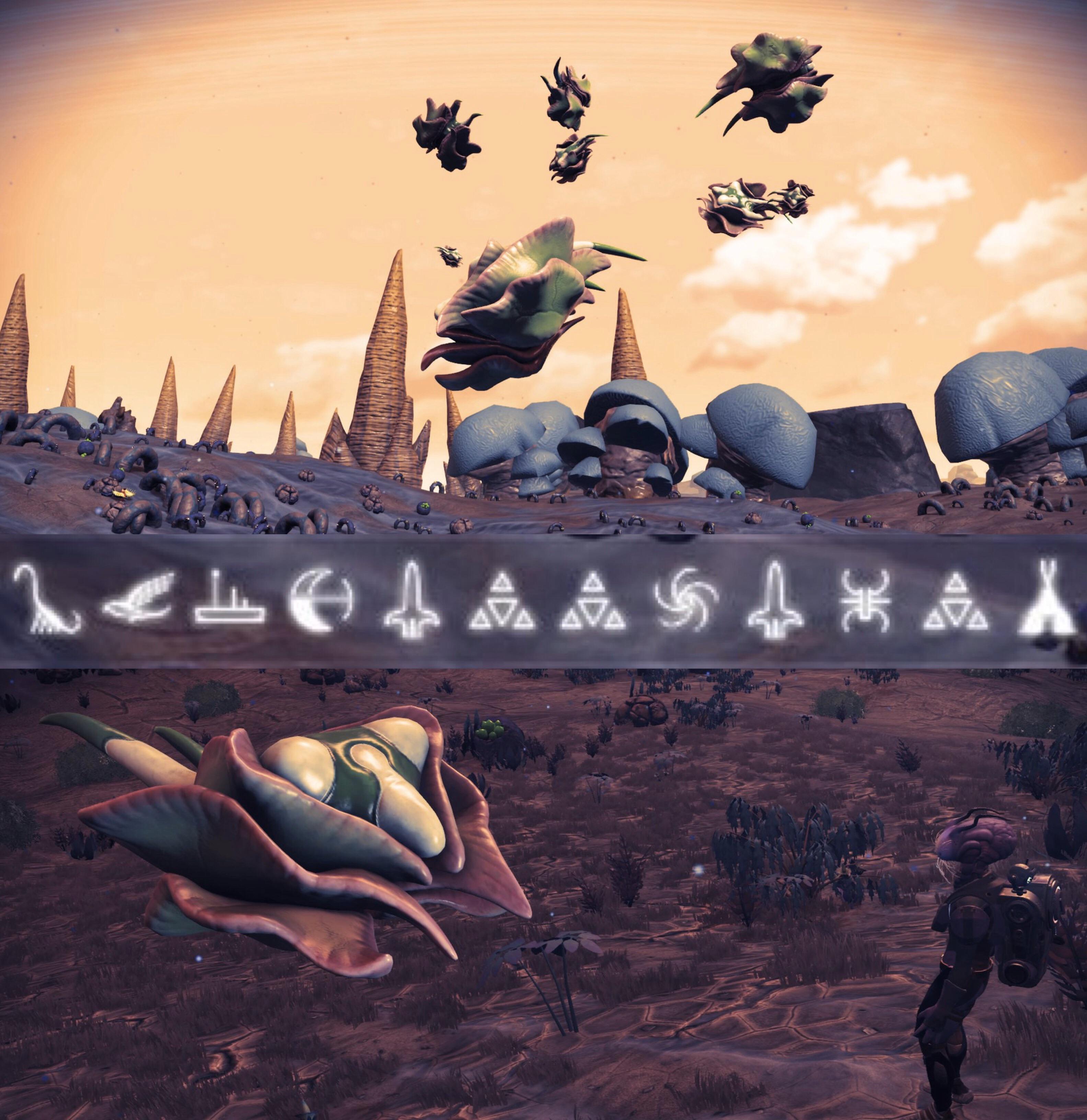 Pretty pink/green frilled flying slugs, Euclid | Scrolller