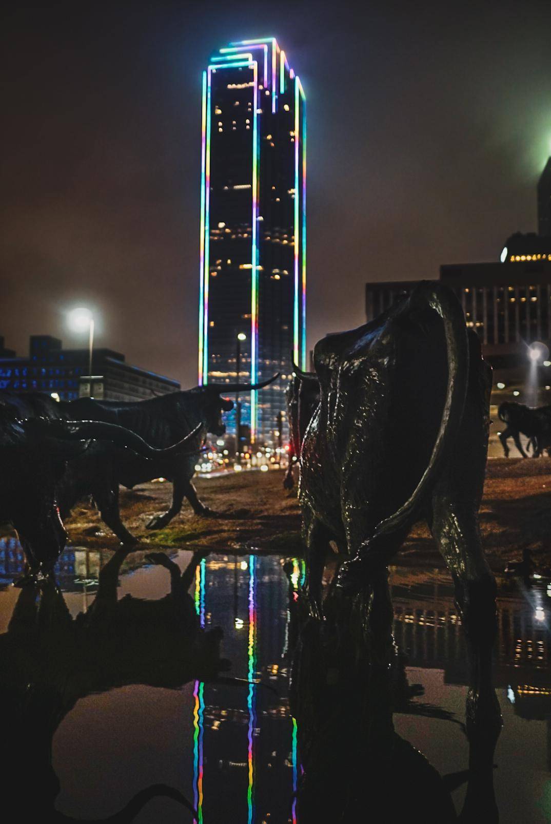 Pride in the big D | Scrolller