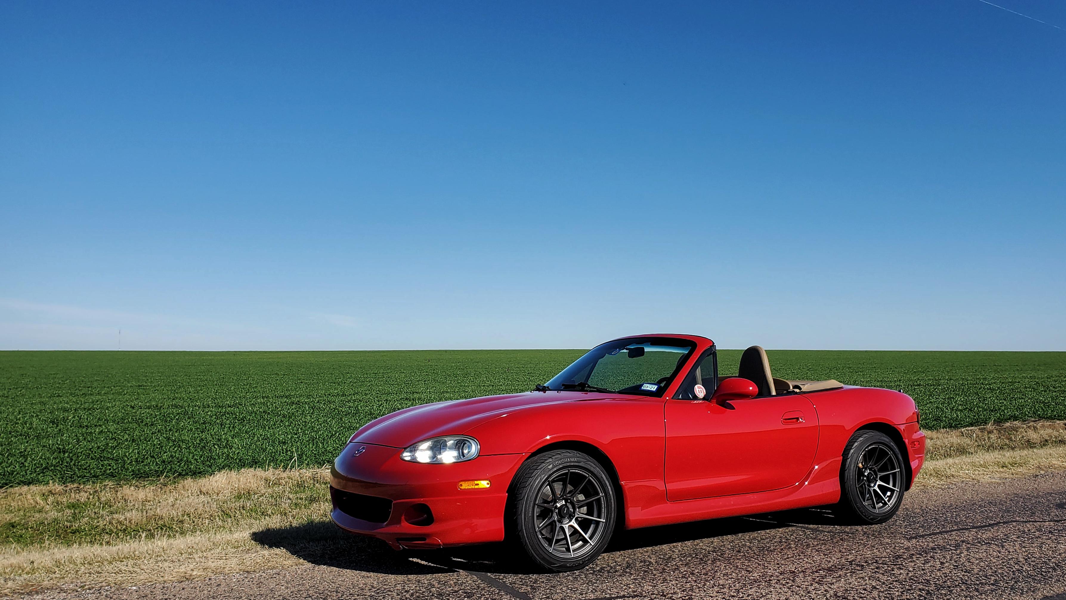 Primary Colors | Scrolller