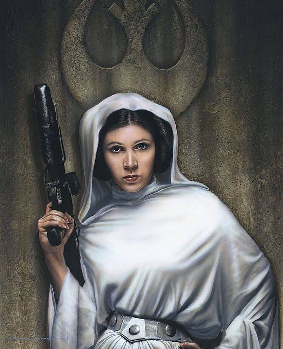 Princess Leia! 😂 | Scrolller