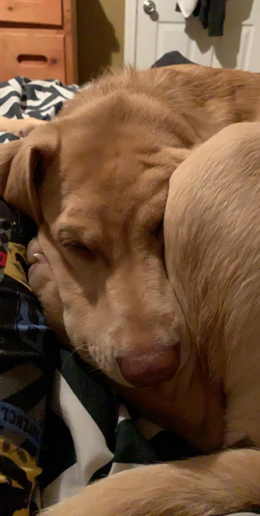 Professional squish | Scrolller