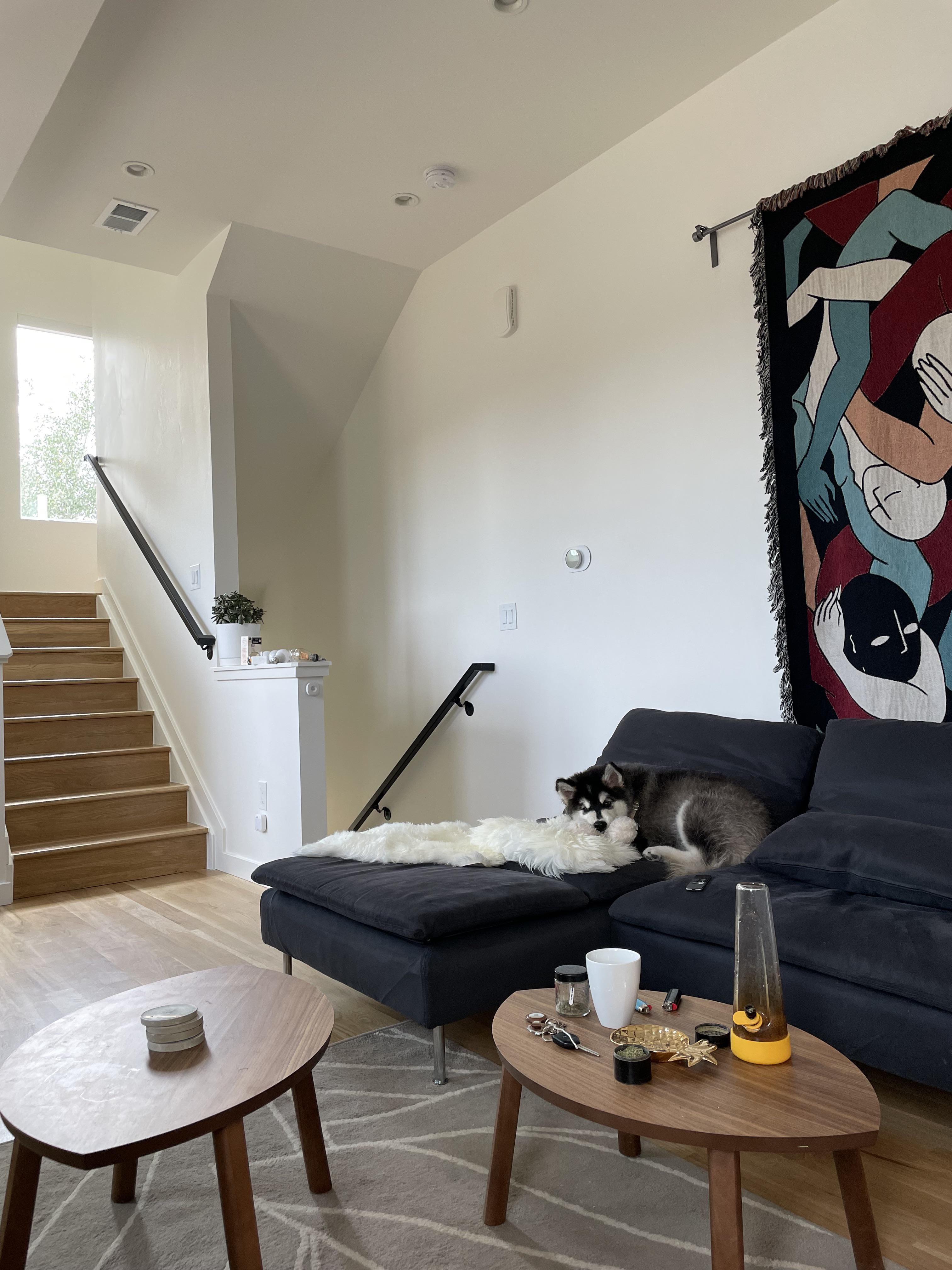 Progress update! | Scrolller