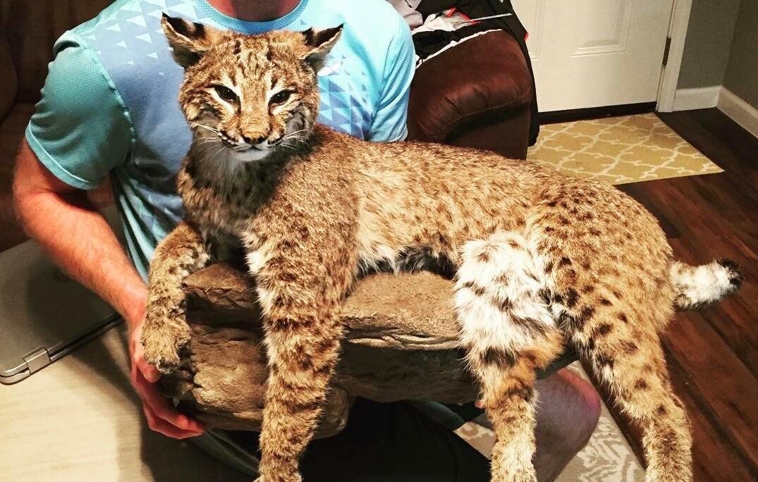 Project thawed and finished. | Scrolller