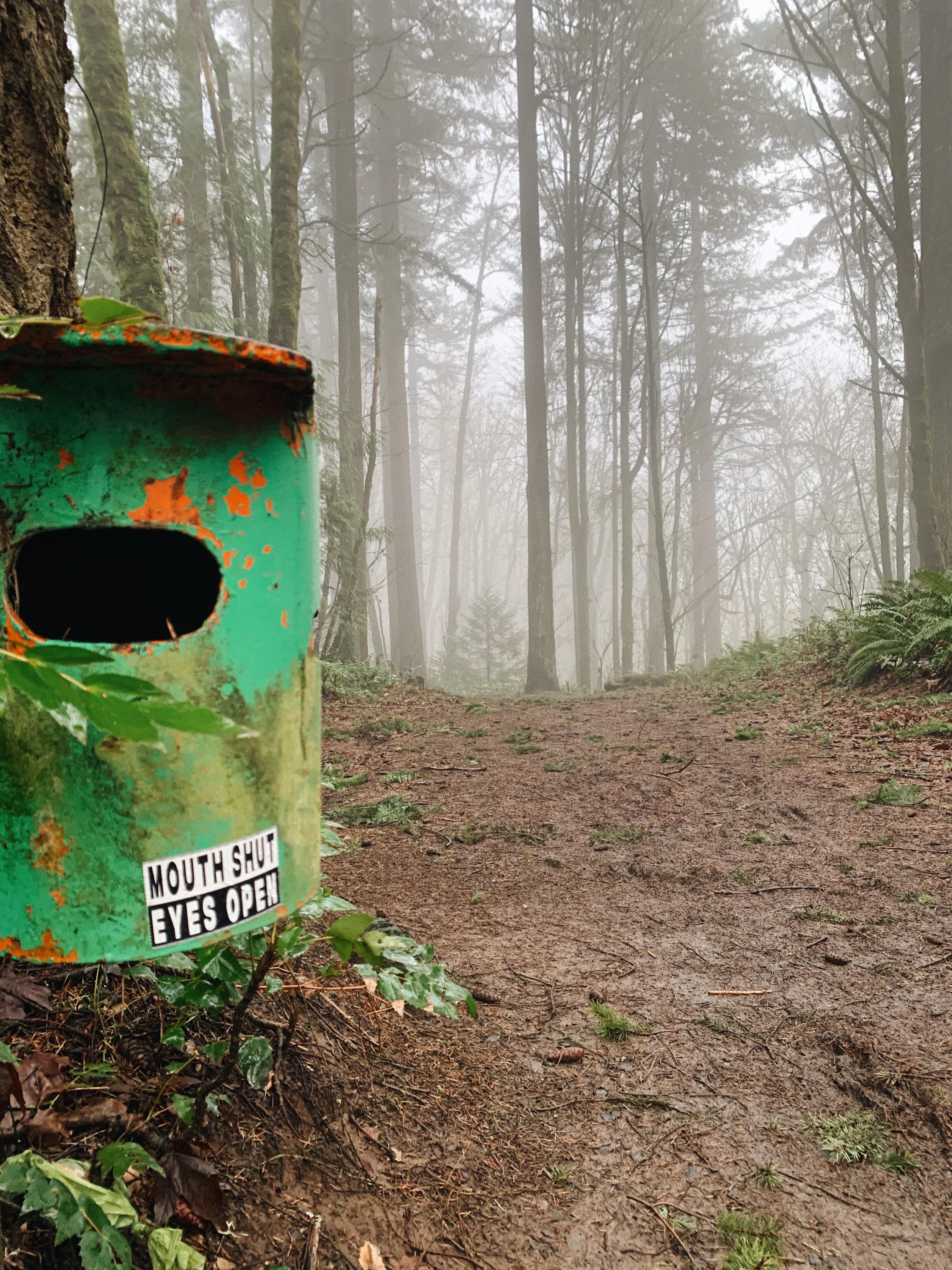 Proper forest etiquette | Scrolller