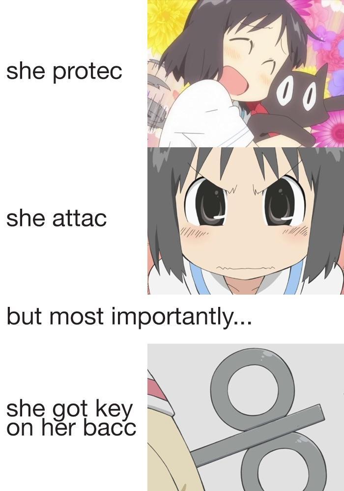 protecc nano | Scrolller