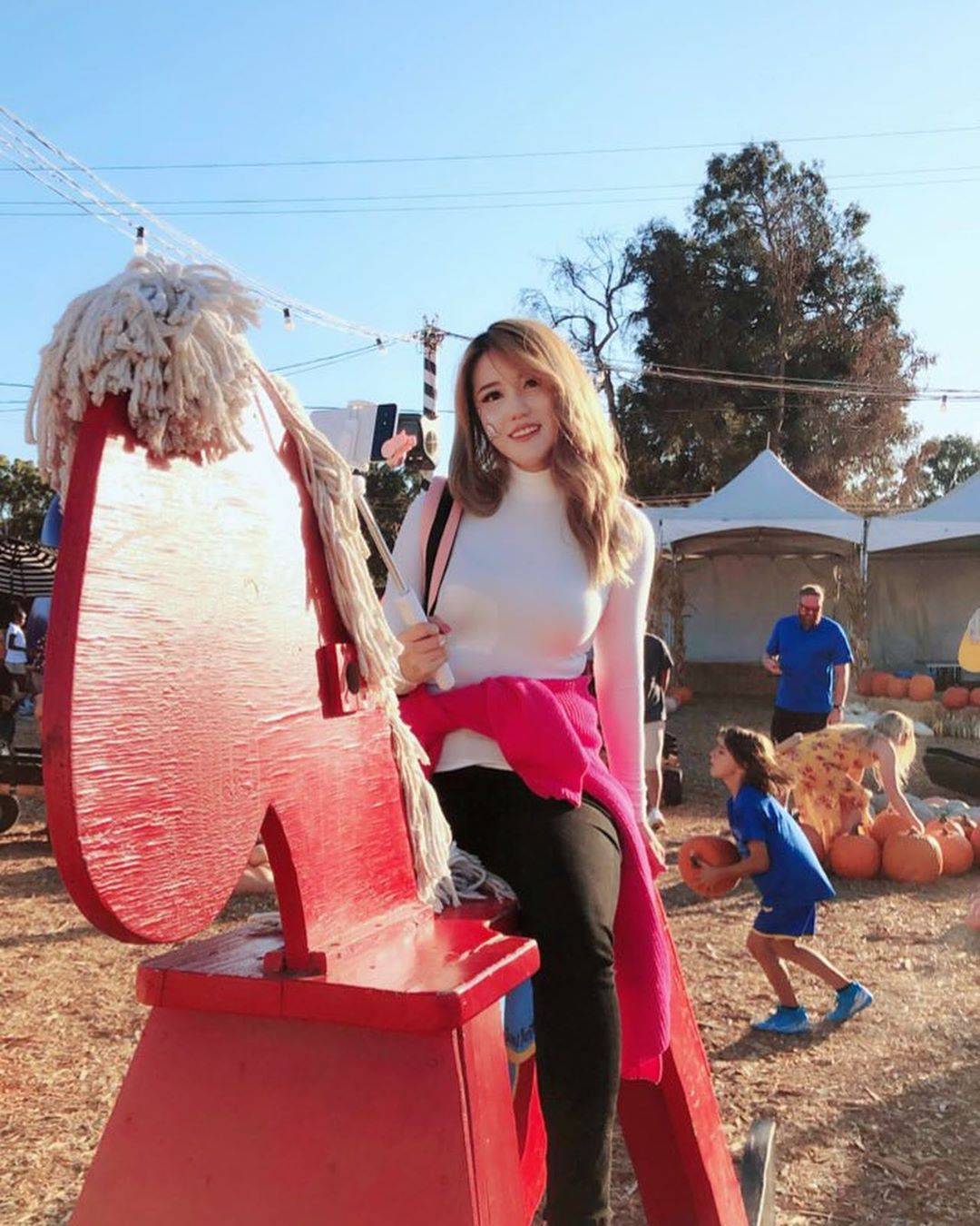 Pumpkin patch | Scrolller