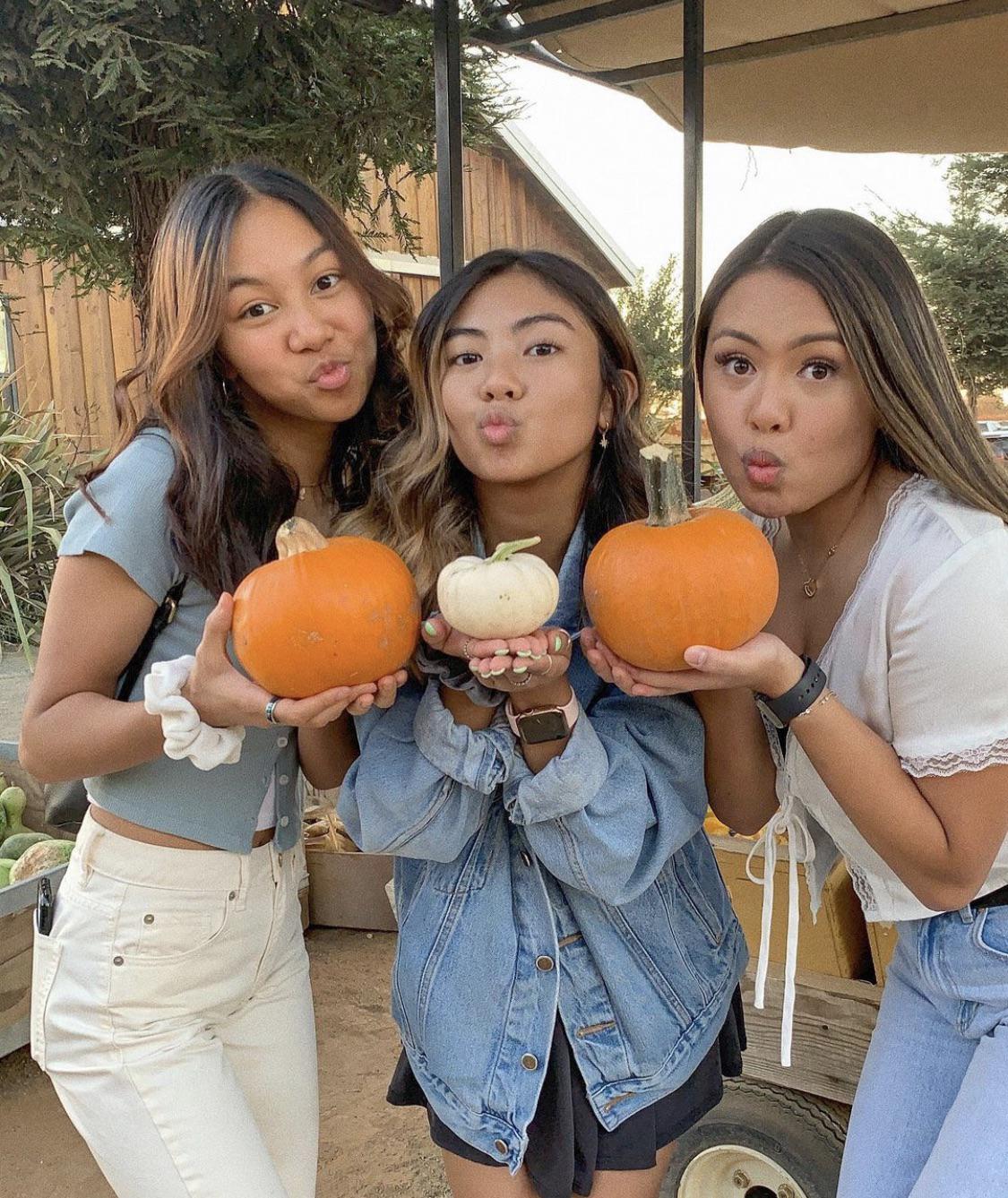 pumpkin patch girls | Scrolller