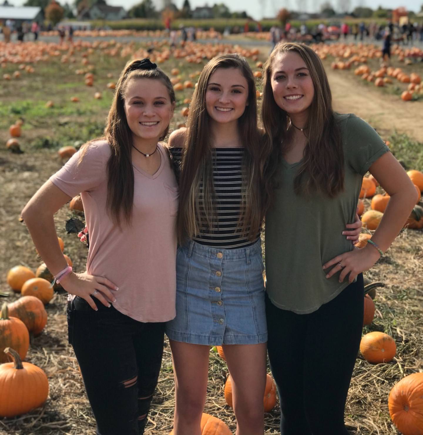 Pumpkins | Scrolller