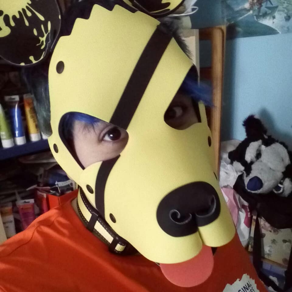 Pup got her first hood! | Scrolller