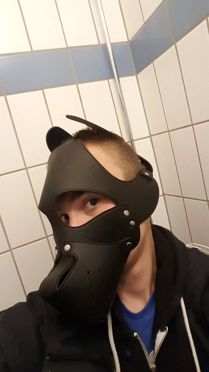 Pup got himself a replacement muzzle | Scrolller